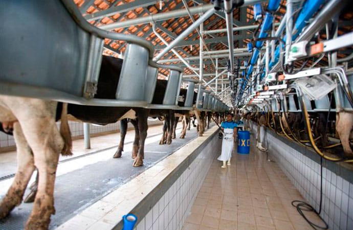 Leite: captação crescente e fraca demanda derrubam preço - Digital ...