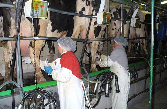 Leite: produção cai no Sul e preços também - Digital Balde Branco